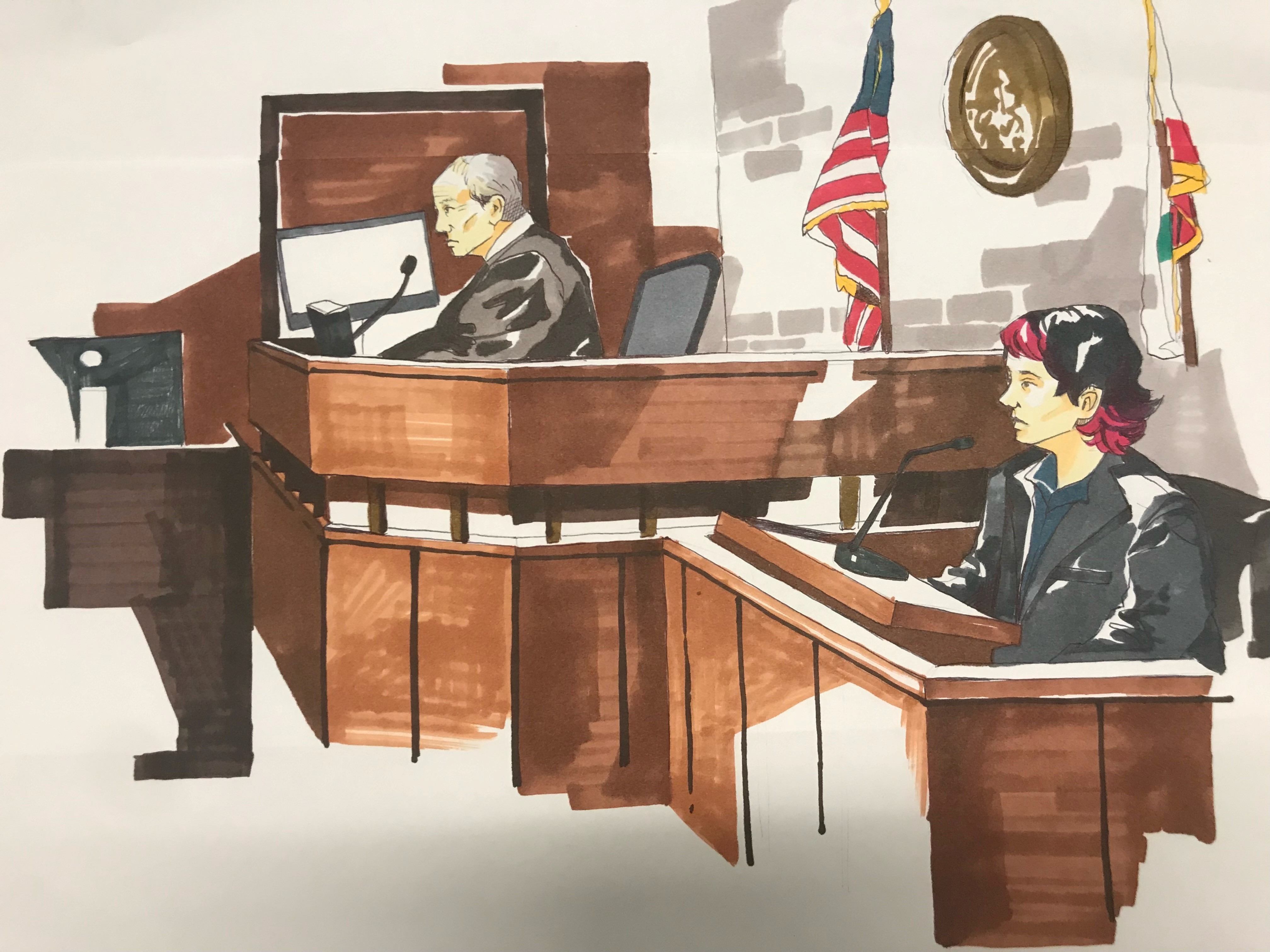 Santa Clara County High School Mock Trial Program | Santa Clara County ...