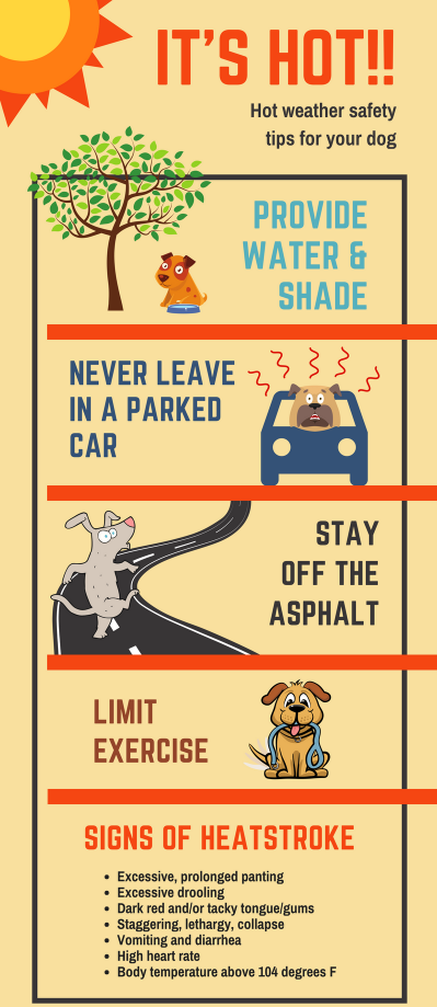 Emergency Advisory | Santa Clara County Office of Education